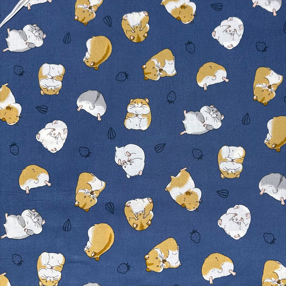 Cute Hamsters Cotton Fabric in Blue by Cosmo Textiles, AP55903H 2E ...