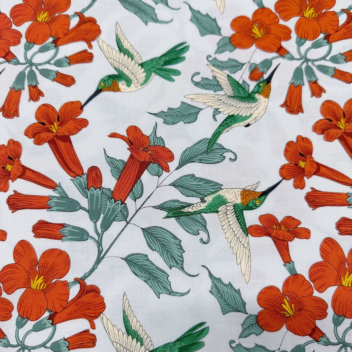 Hummingbirds Gray Birds of a Feather by Rachel Hauer Cotton Fabric, Fr ...